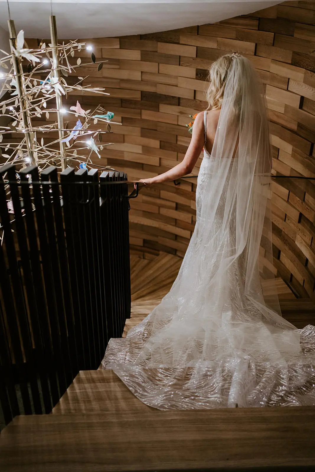 Amanda Mitchell Wedding Maegan + Mitchell | Picturesque Photos By